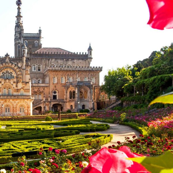 Palace do Bussaco - Douro | World Heritage